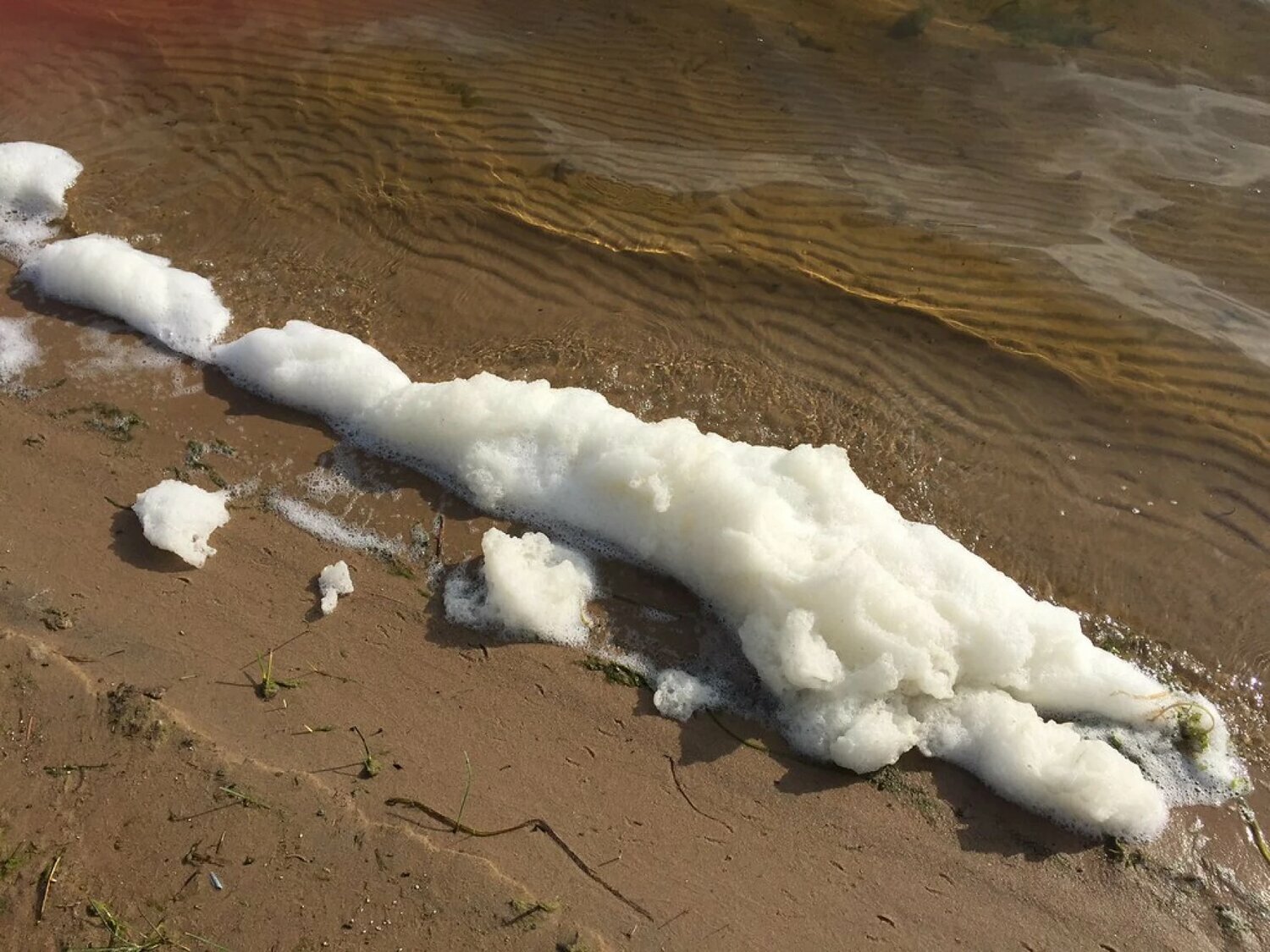 MDHHS recommends Michigan residents and visitors avoid foam on surface ...