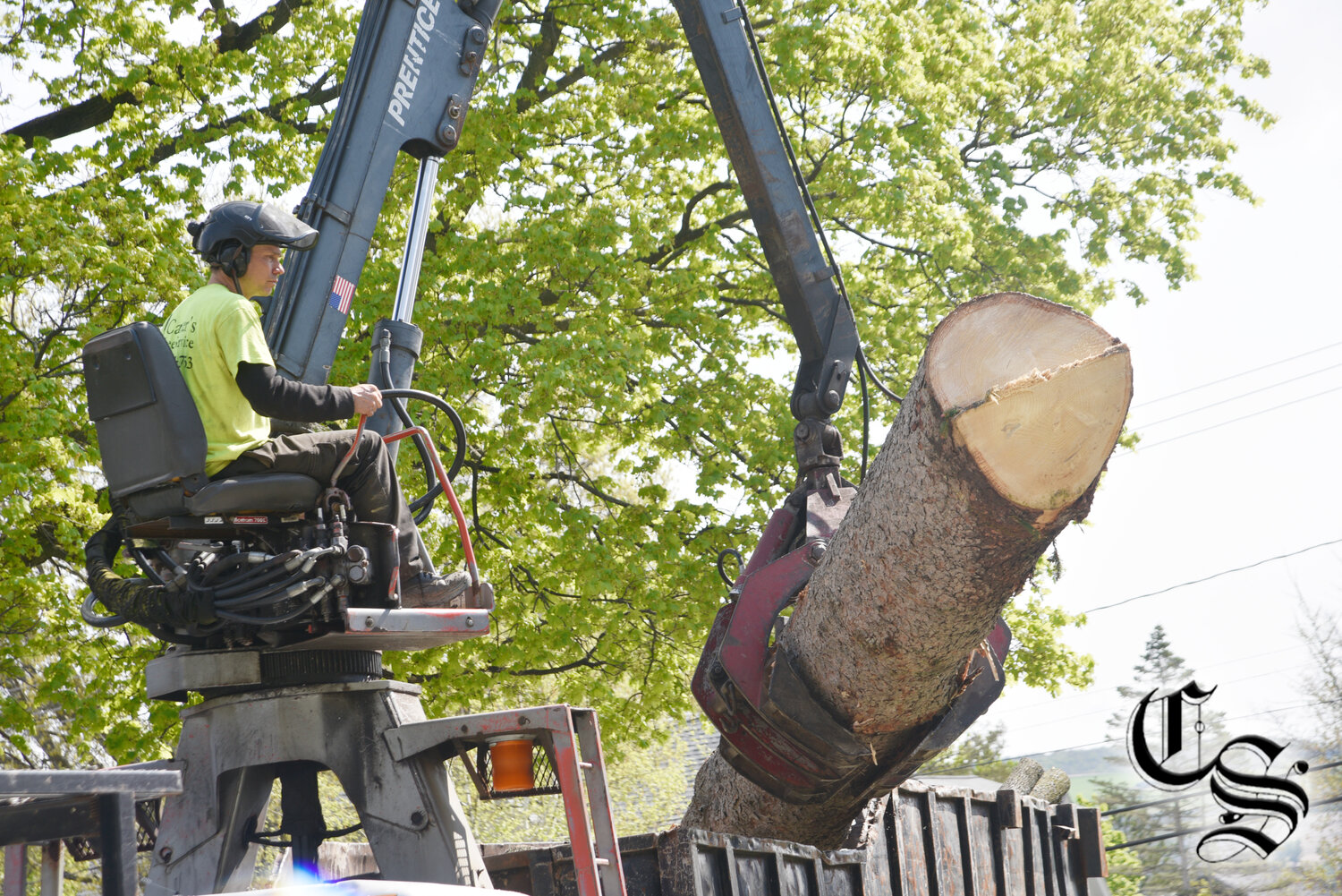 Making the cut - Cortland Standard