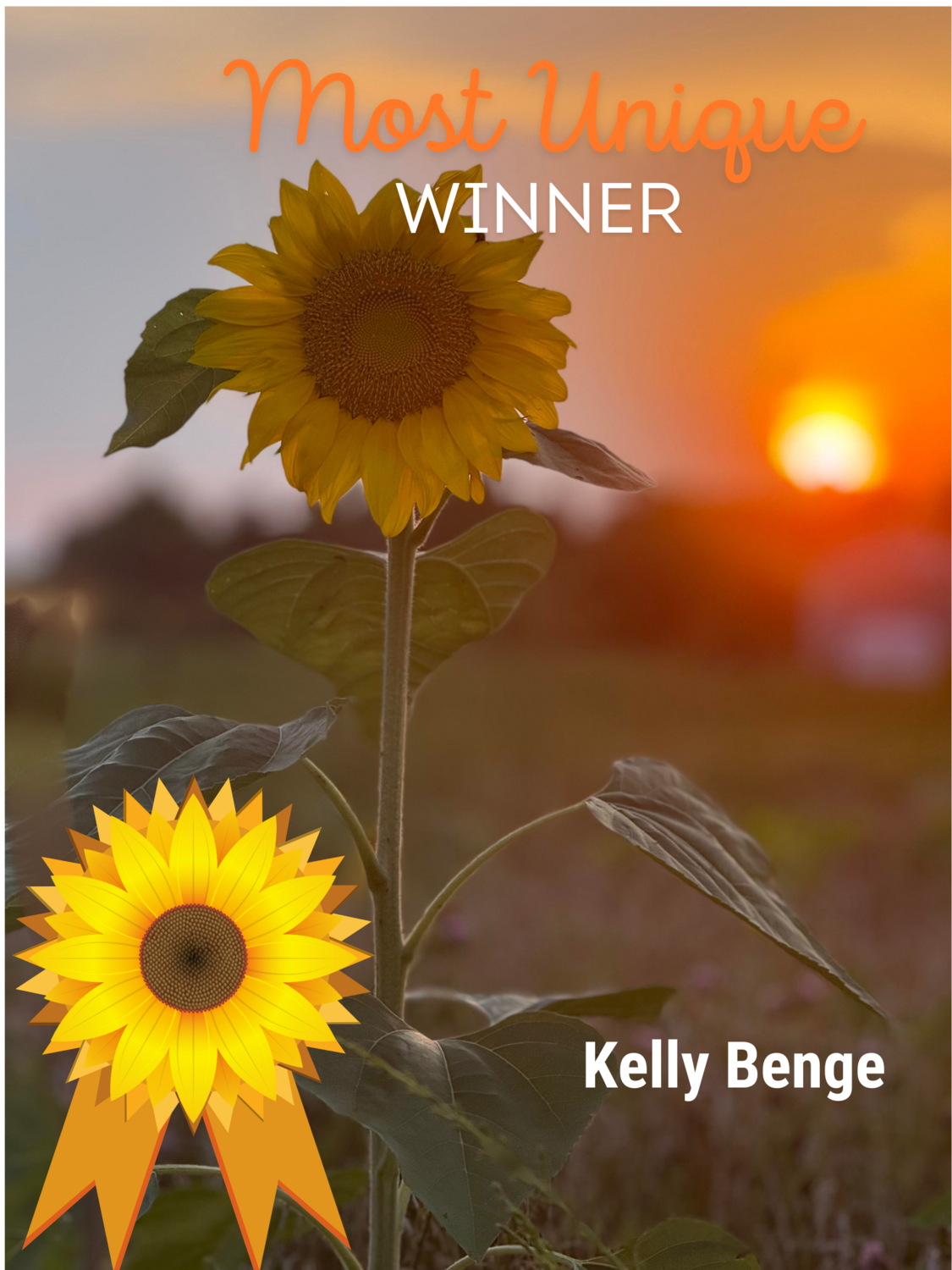 Sunflower Contest Winners Announced | Journal Review
