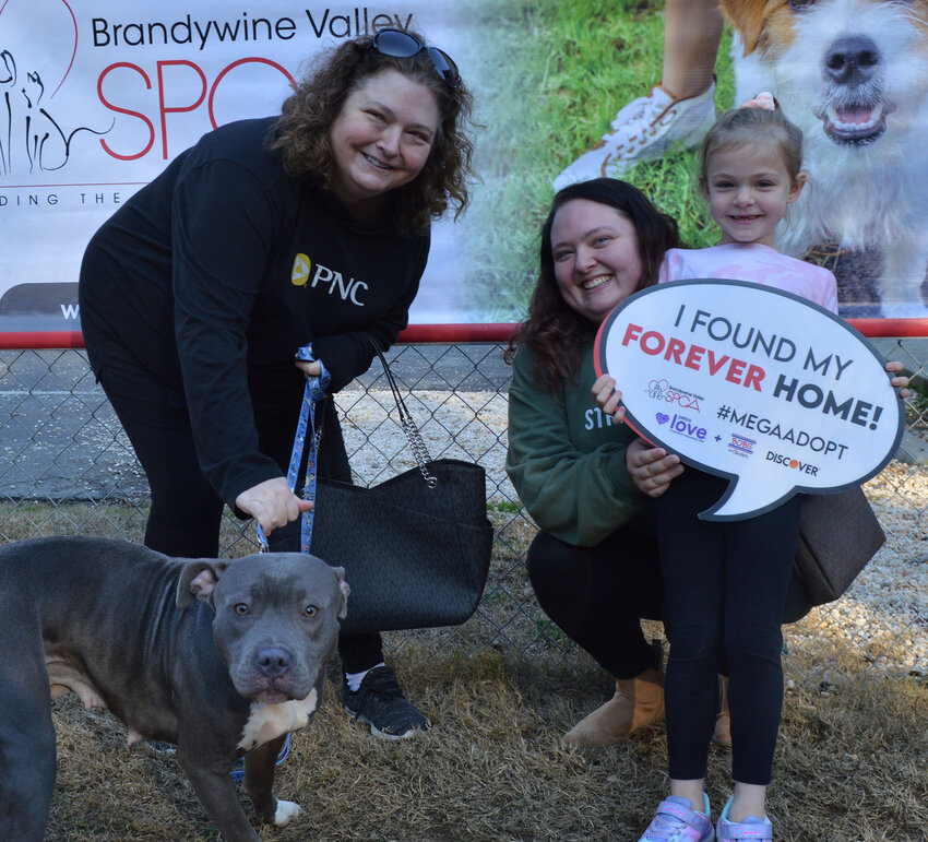 Brandywine Valley SPCA celebrates record Mega Adoption Event | Bay to ...