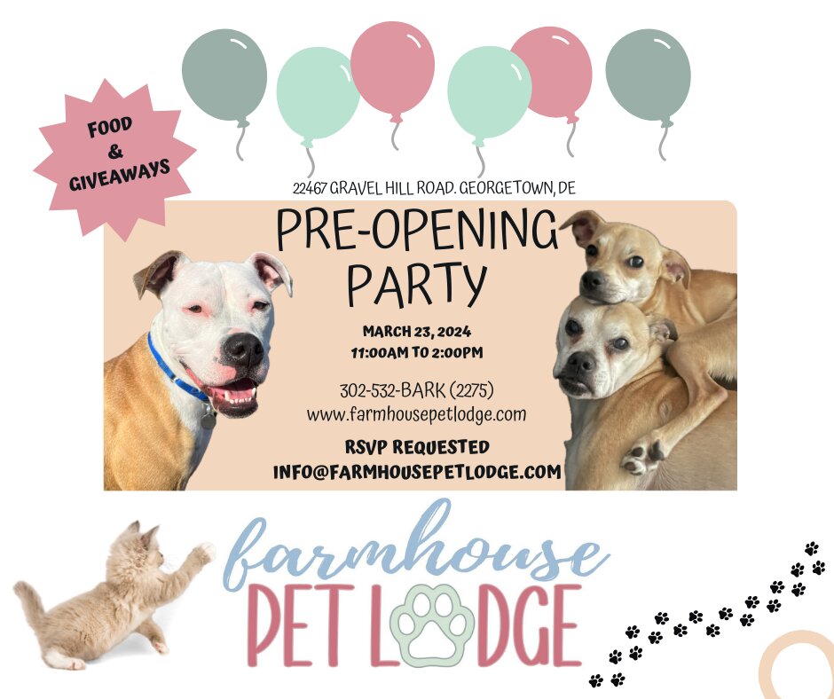 Farmhouse Pet Lodge pre-opening party on March 23 | Bay to Bay News