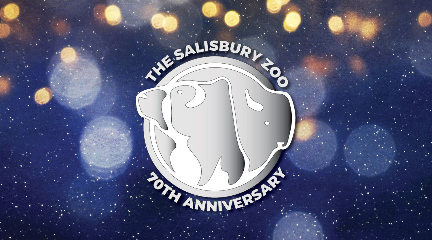Salisbury Zoo to host 70th Anniversary Gala | Bay to Bay News