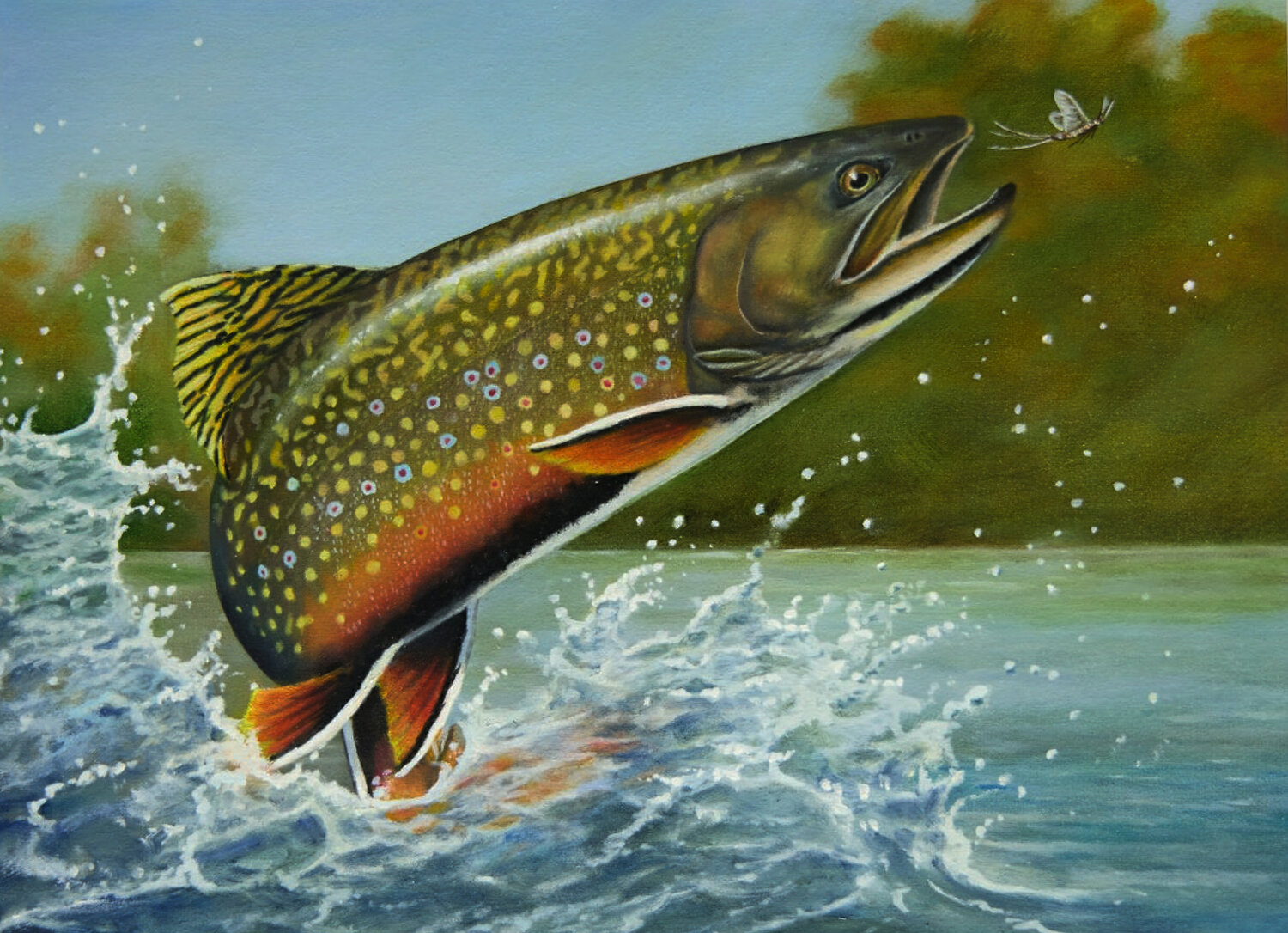 Spring trout season opens with youth-only day | Bay to Bay News