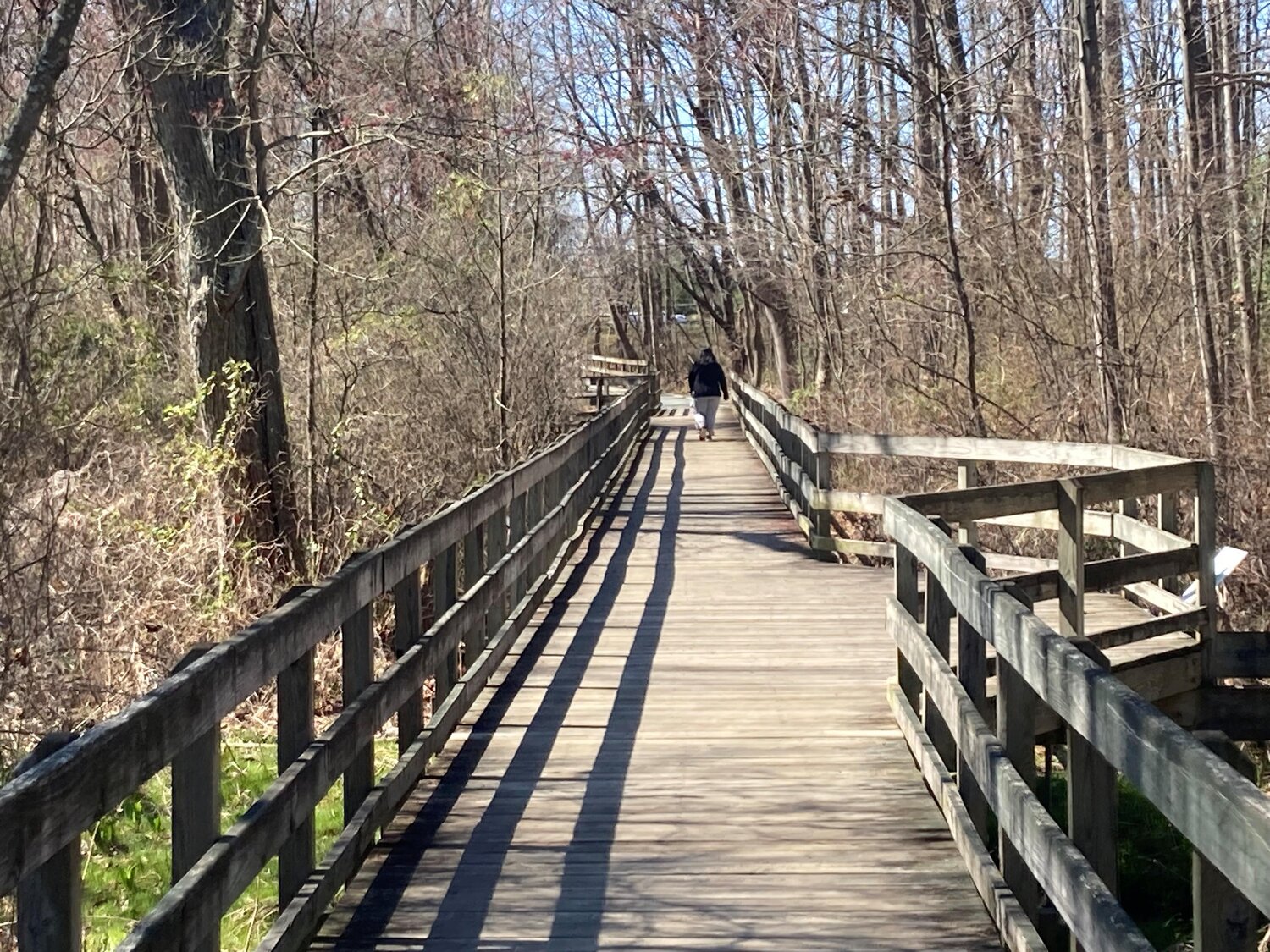 A walk on the mild side: Outdoor strolls beckon with warmer temps | Bay ...
