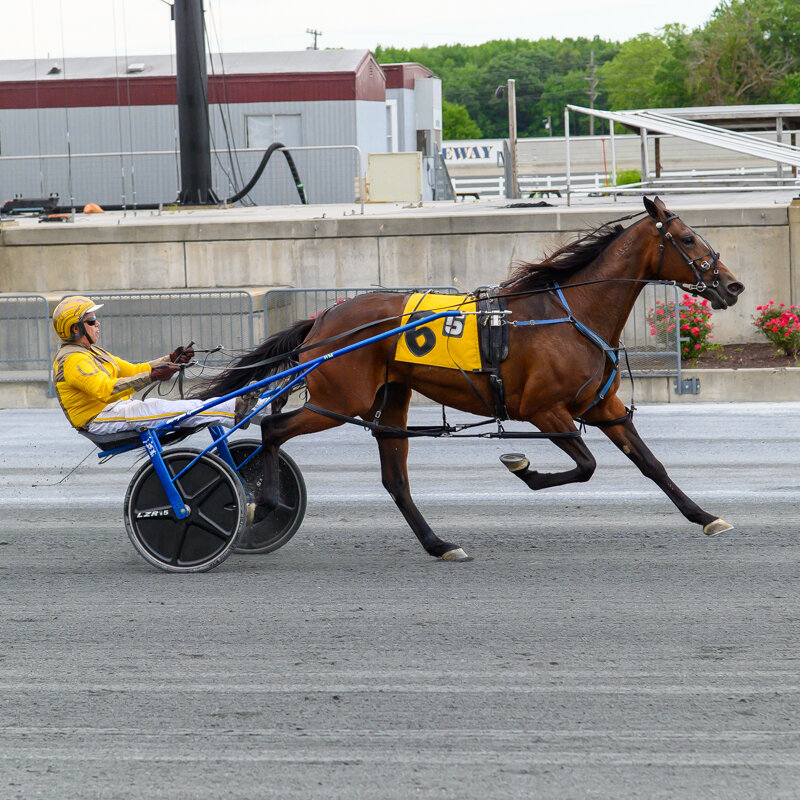 Incaseyoudidntknow picks up win No. 41 at Harrington | Bay to Bay News