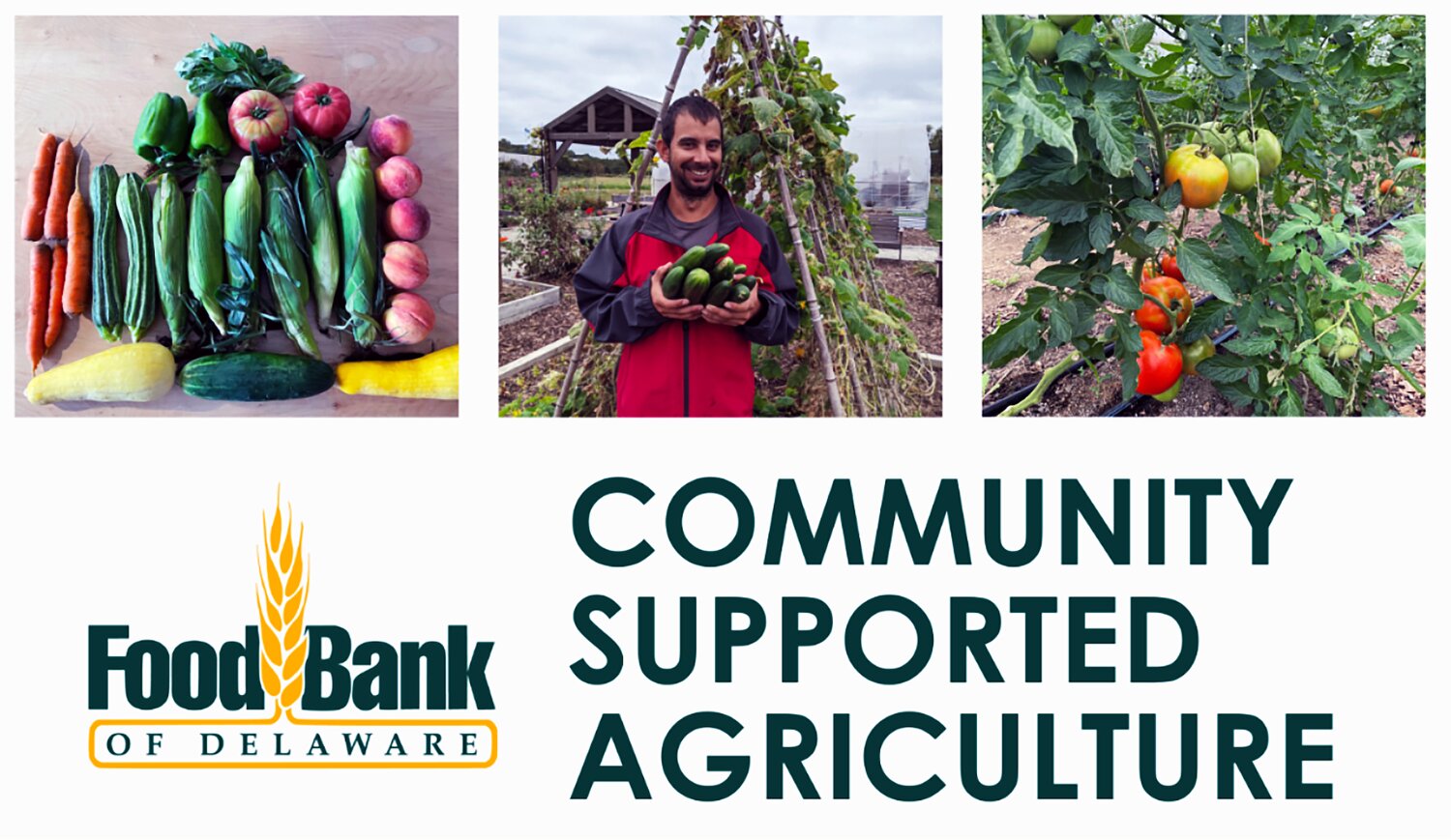 Food Bank of Delaware gearing up summer agriculture program | Milford ...