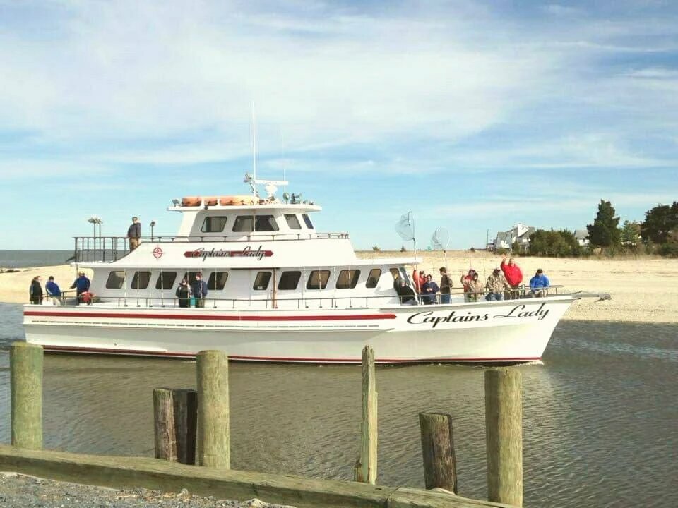 Captain Lady's Lighthouse Cruises to benefit St. Jude Children's ...