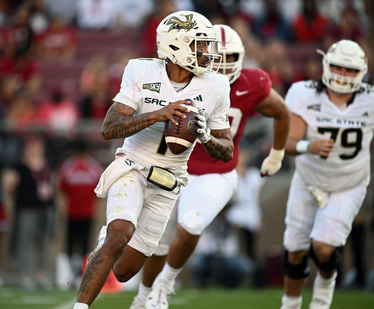 New Delaware State quarterback brings confidence with him | Bay to Bay News