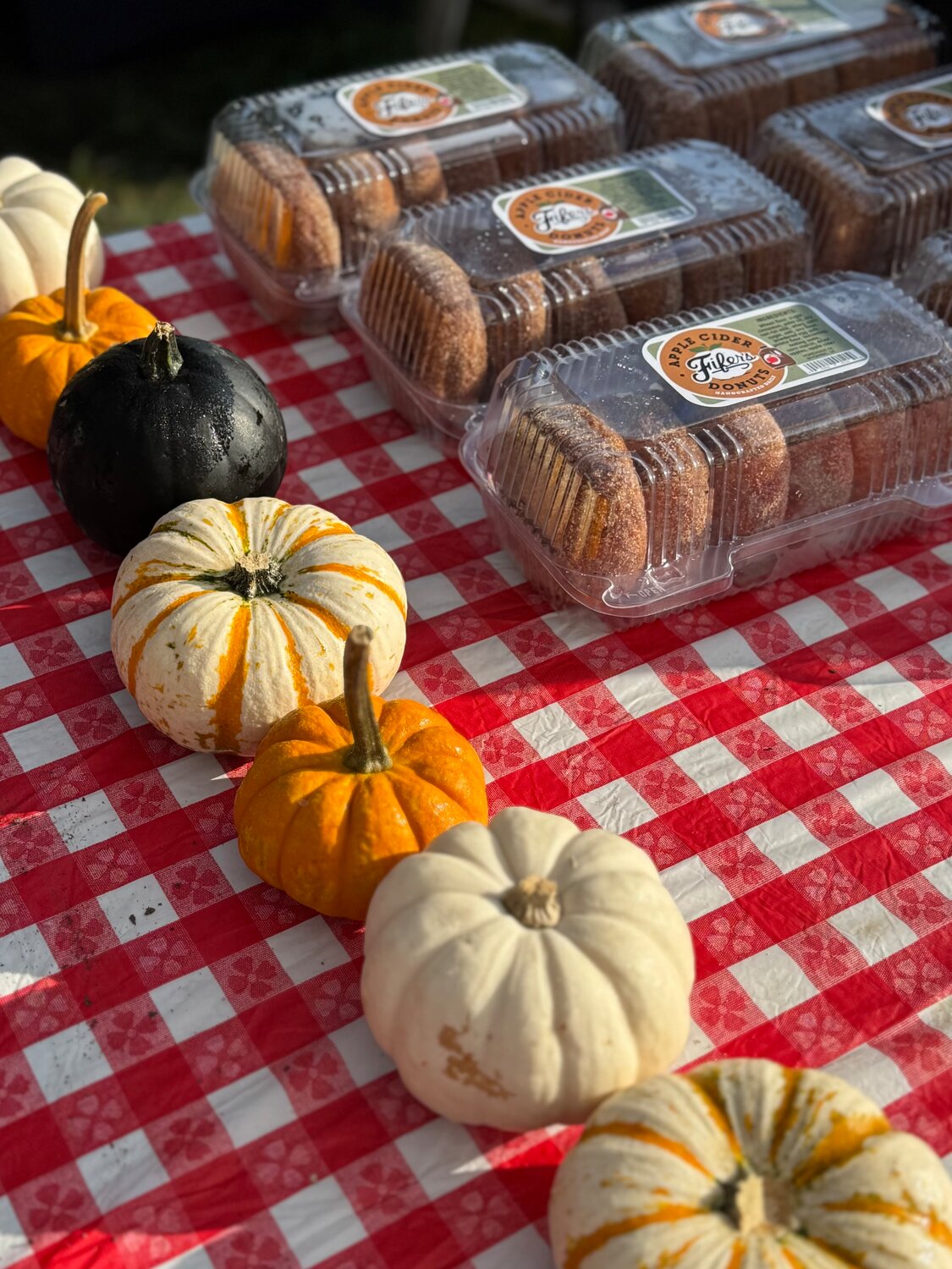 Lewes Oyster House, squash feature at Historic Lewes Farmers Market ...