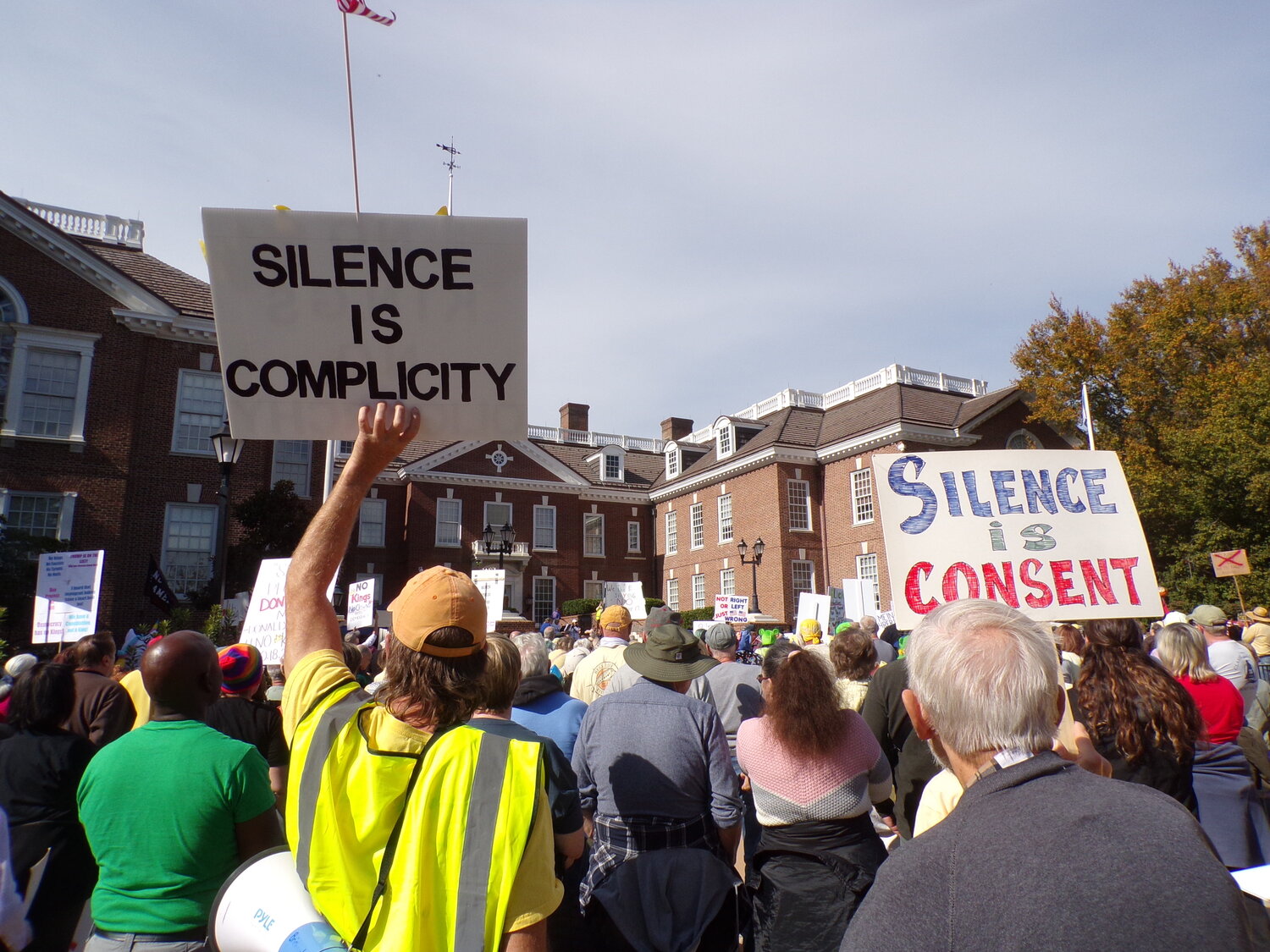 GALLERY: Over 1,300 gather for 'No Kings' rally in Dover | Bay to Bay News