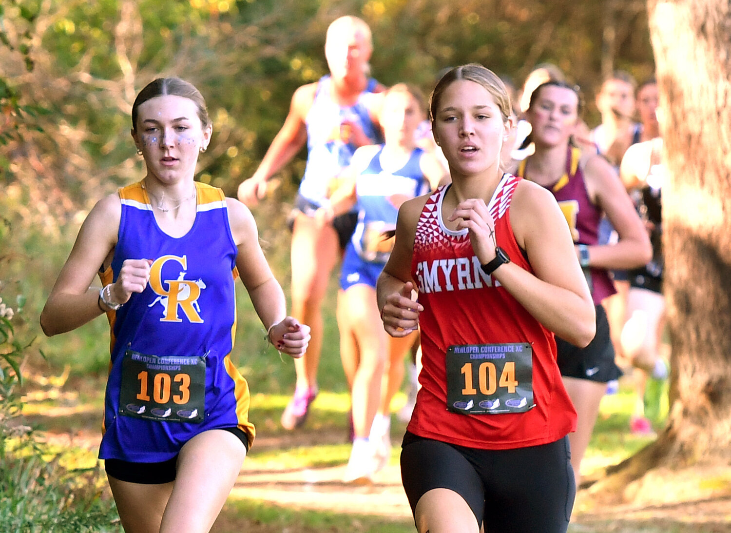 Photo gallery: Henlopen Conference cross country championships | Bay to ...