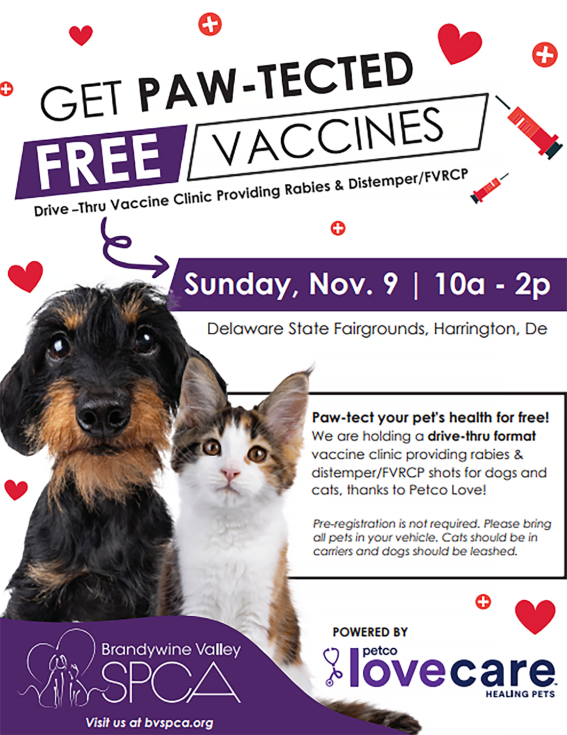 Brandywine Valley SPCA to hold free vaccine clinic in Harrington | Bay ...