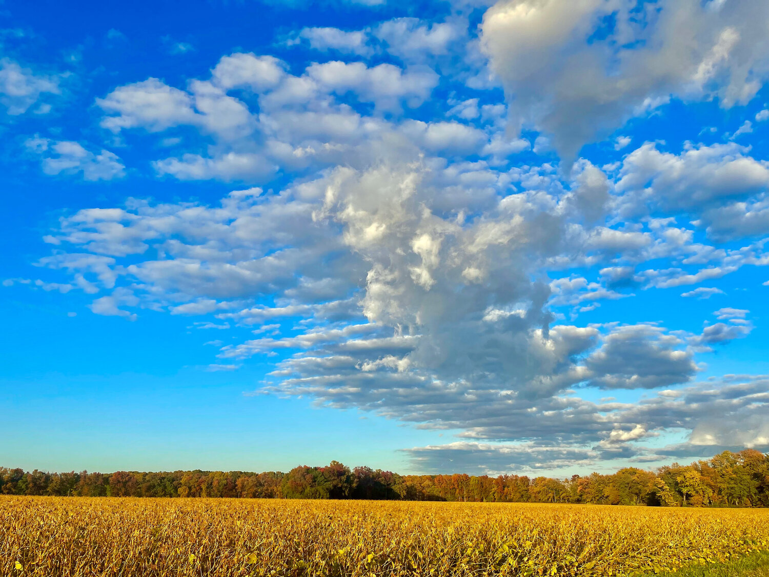 Beautiful Sky | Bay to Bay News