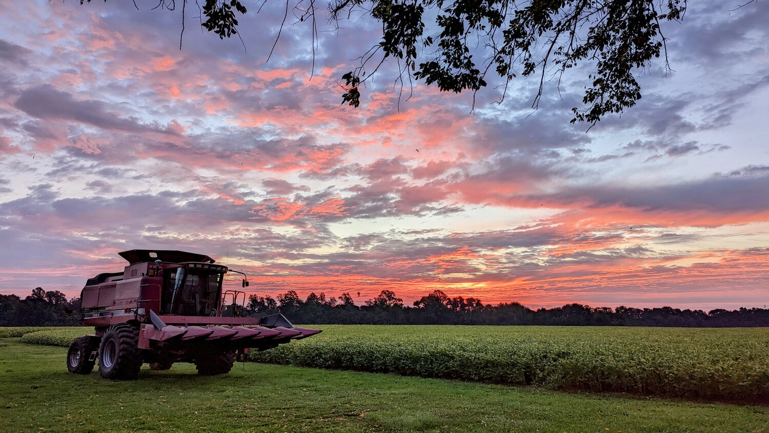 Del. Farm Bureau announces winners of 2025 photo contest | Bay to Bay News