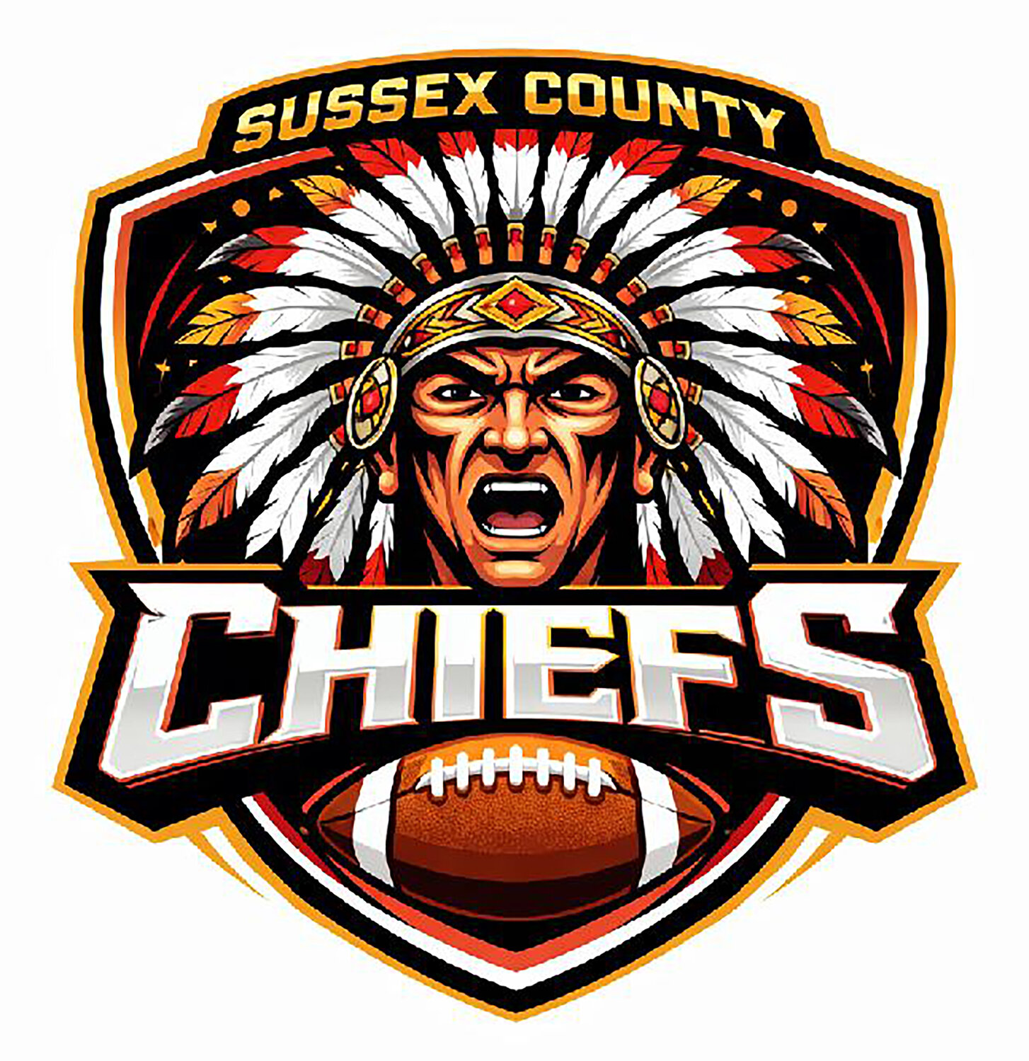 Effort underway to field downstate semi pro football team | Bay to Bay News