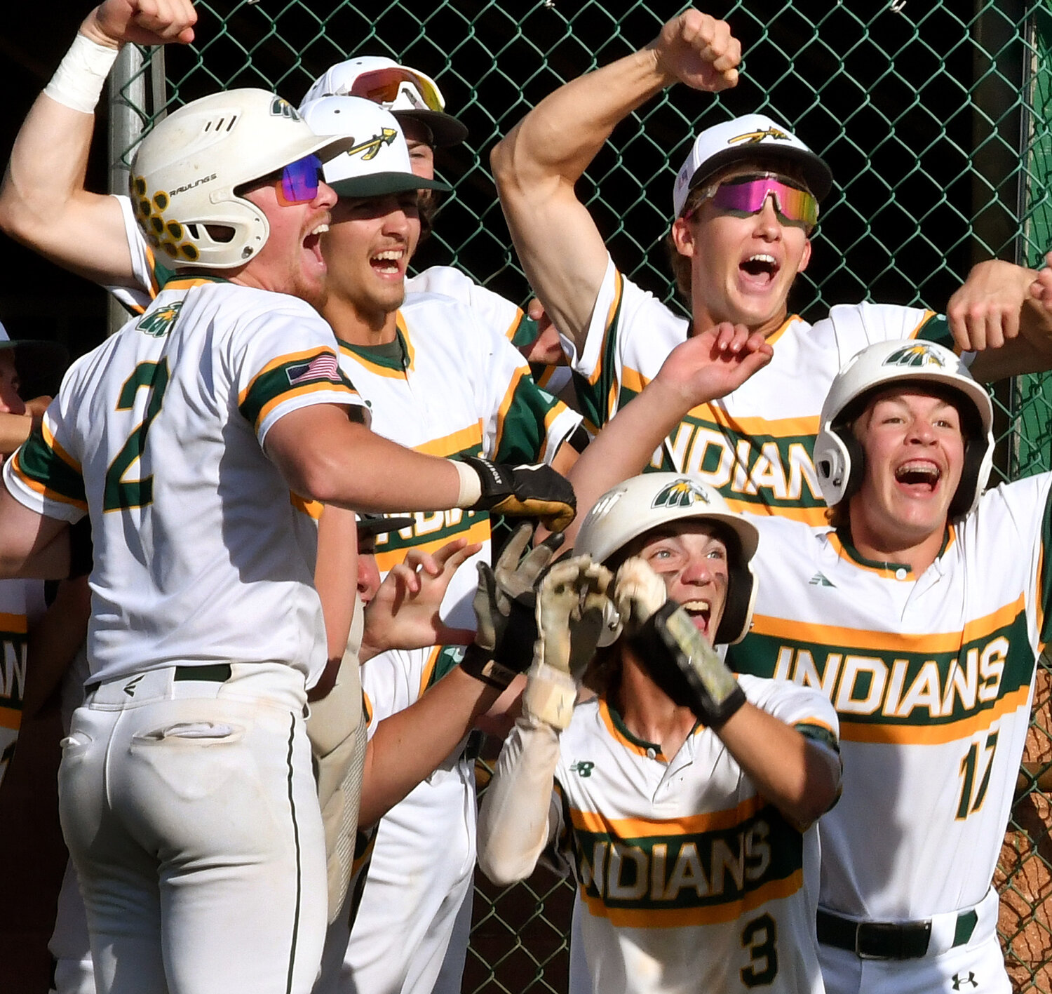 Photo gallery: Indian River vs. Smyrna baseball | Bay to Bay News