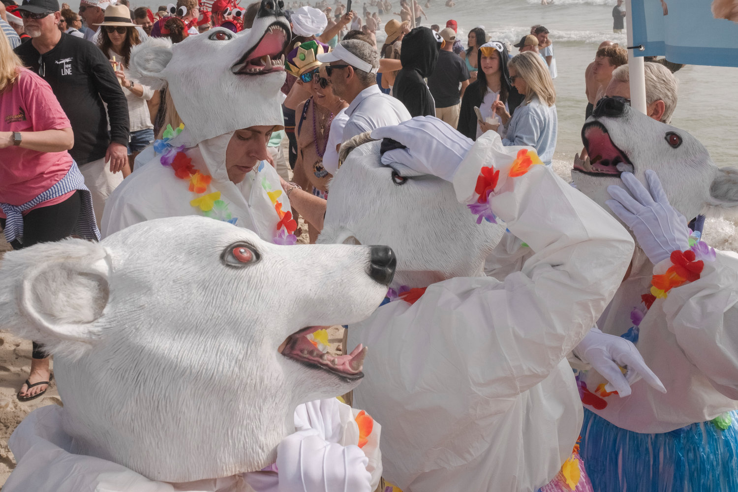 Photo Gallery Flora Bamas 39th Annual Near Years Day Polar Bear Dip