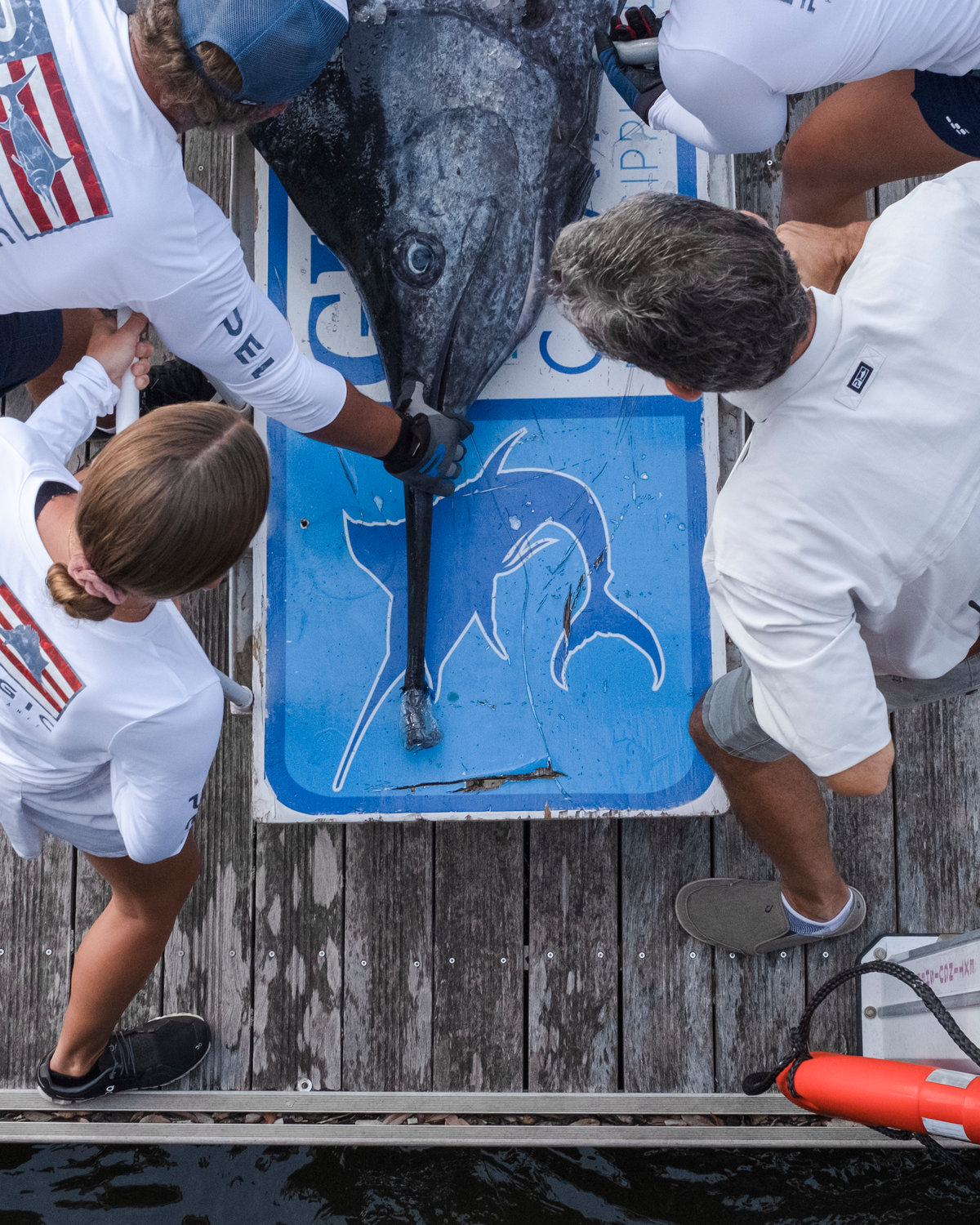 Orange Beach locals steal the show at Blue Marlin Grand Championship ...