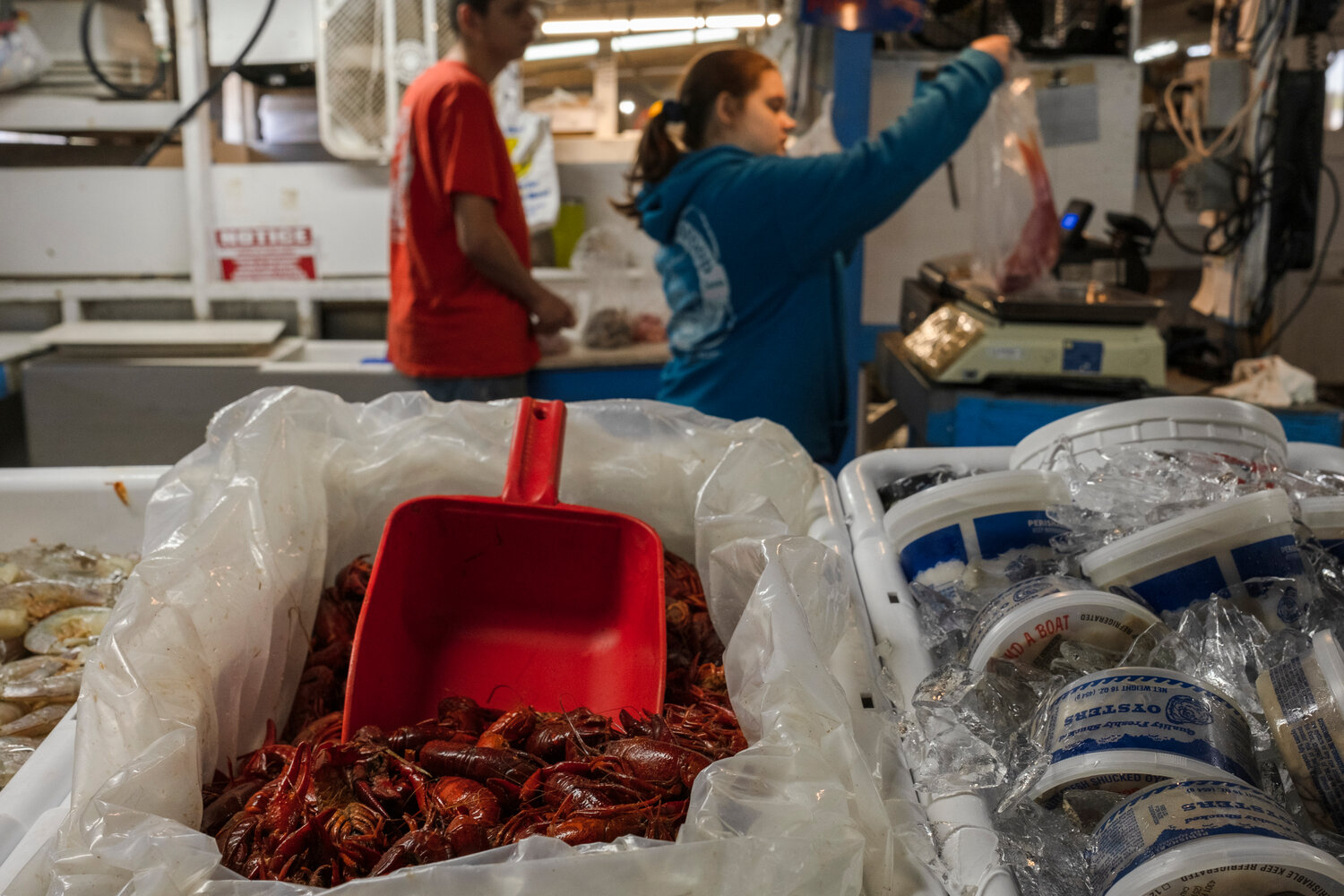 Baldwin County seafood market talks on struggling crawfish season, high ...