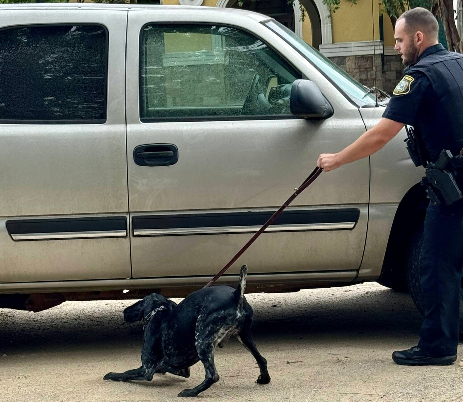 Daphne Police K9 Unit stages drug search demonstration for city ...