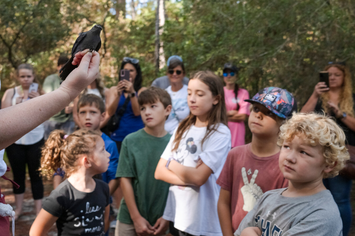 Banding Coalition of the Americas holding free bird banding event in ...