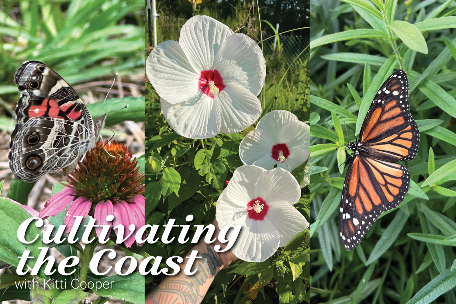 Rooted in the right place: Native plants and habitat building for ...