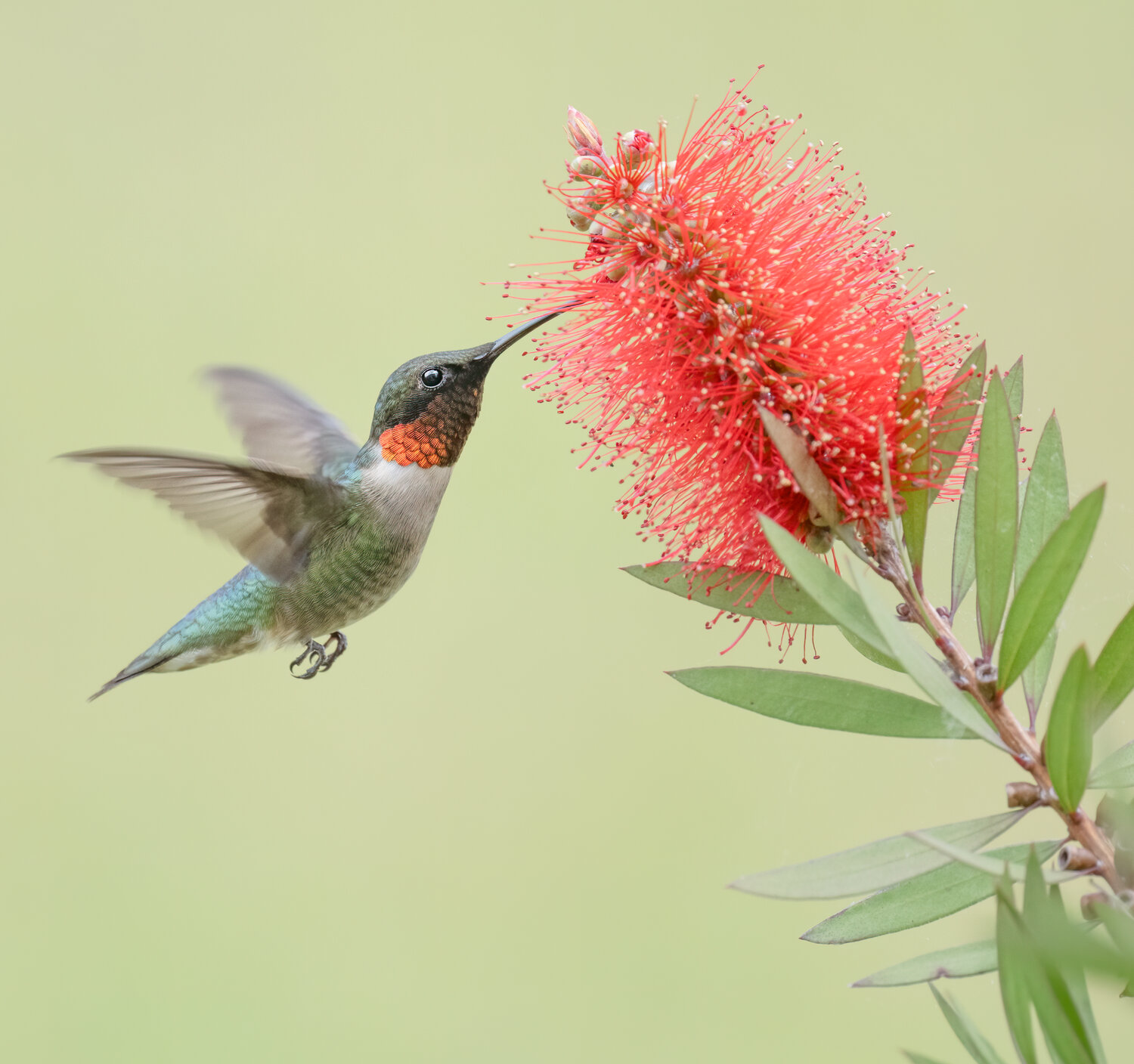 Outdoor Alabama Photo Contest now open for 2026 entries - Gulf Coast Media