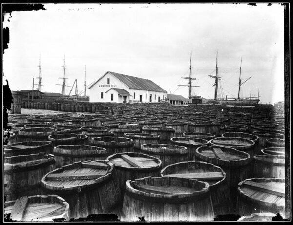 Way Back When in Baldwin County with Harriet Outlaw: Bay Minette ...