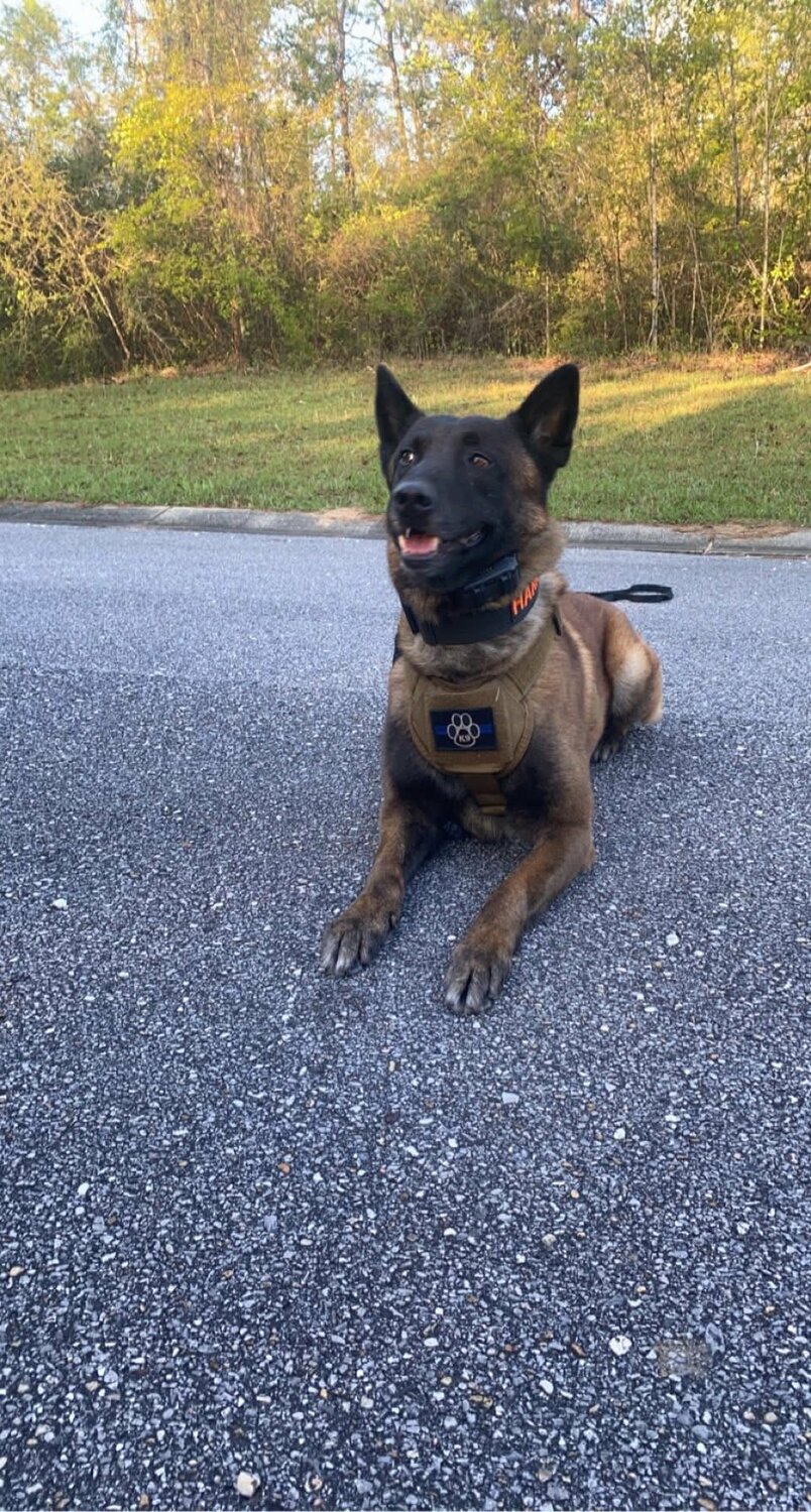 K9 Harko retires after seven years of service with Bay Minette Police ...
