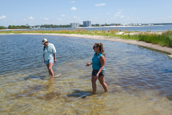 New Alabama bill aims to restore seagrass, protect Gulf coastal ...