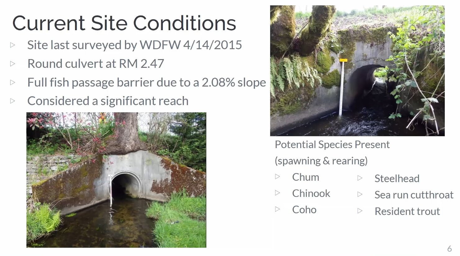 Tumwater to receive grant for construction of Percival Creek culvert ...