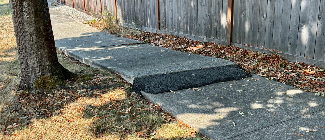 Sidewalk repair plan faces neighbor opposition in Lacey | The JOLT News ...