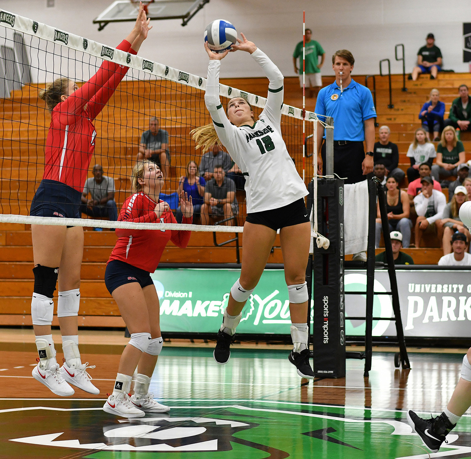 Blinn assistant volleyball coach named NCAA Woman of the Year | Katy Times