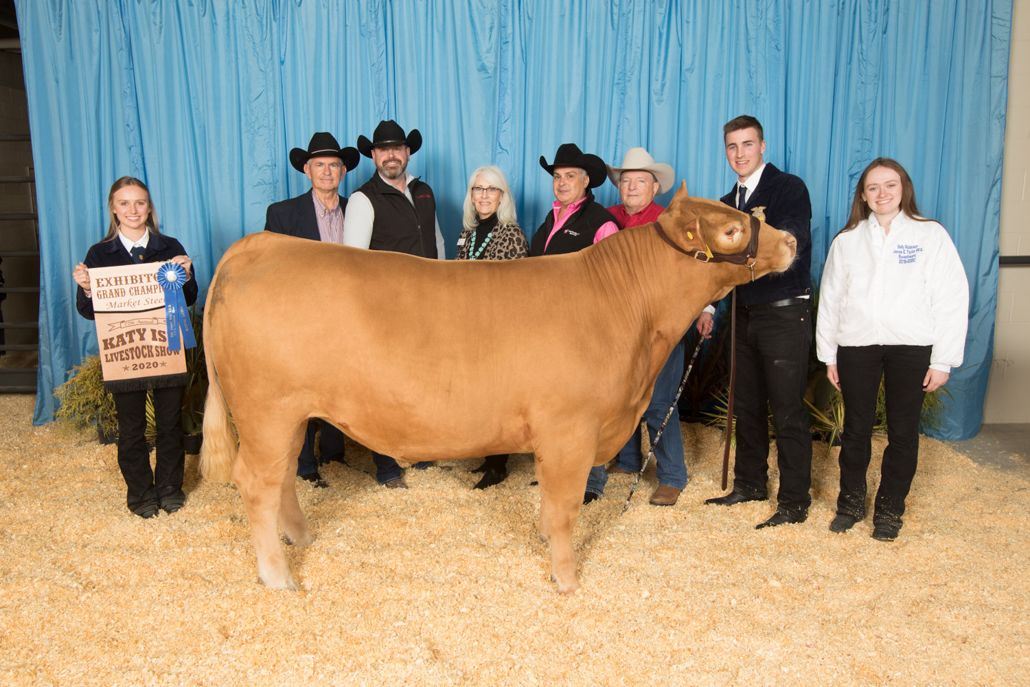 UPDATED: Katy ISD FFA Livestock Show still on for next week | Katy Times