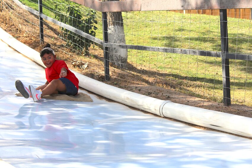 Mesilla Valley Maze holds family tradition | Las Cruces Bulletin