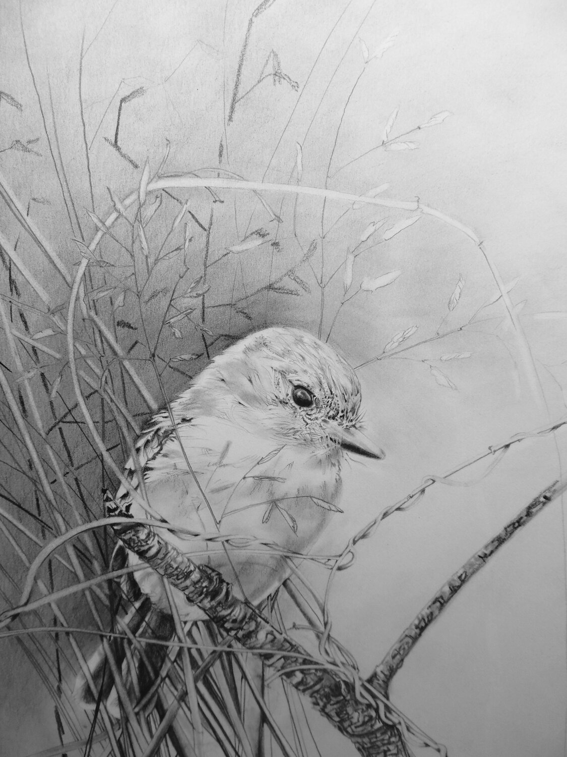 Coy Lowther is Agave Gallery’s September artist of the month | Desert ...