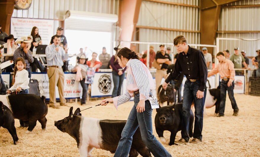 Fair and rodeo are bigger and better than ever | Las Cruces Bulletin