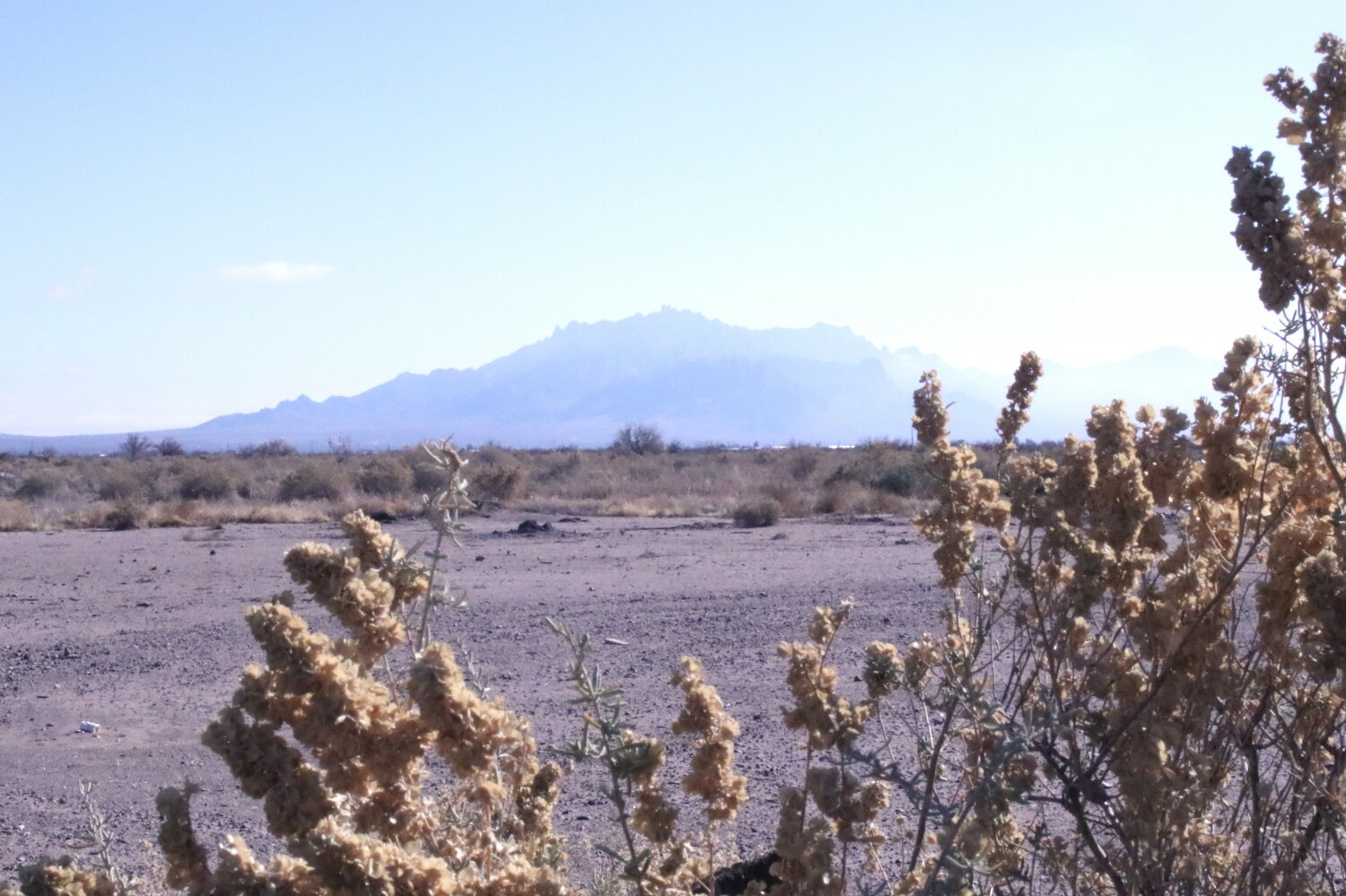 Luna County’s digital divide made worse by high poverty | Las Cruces ...