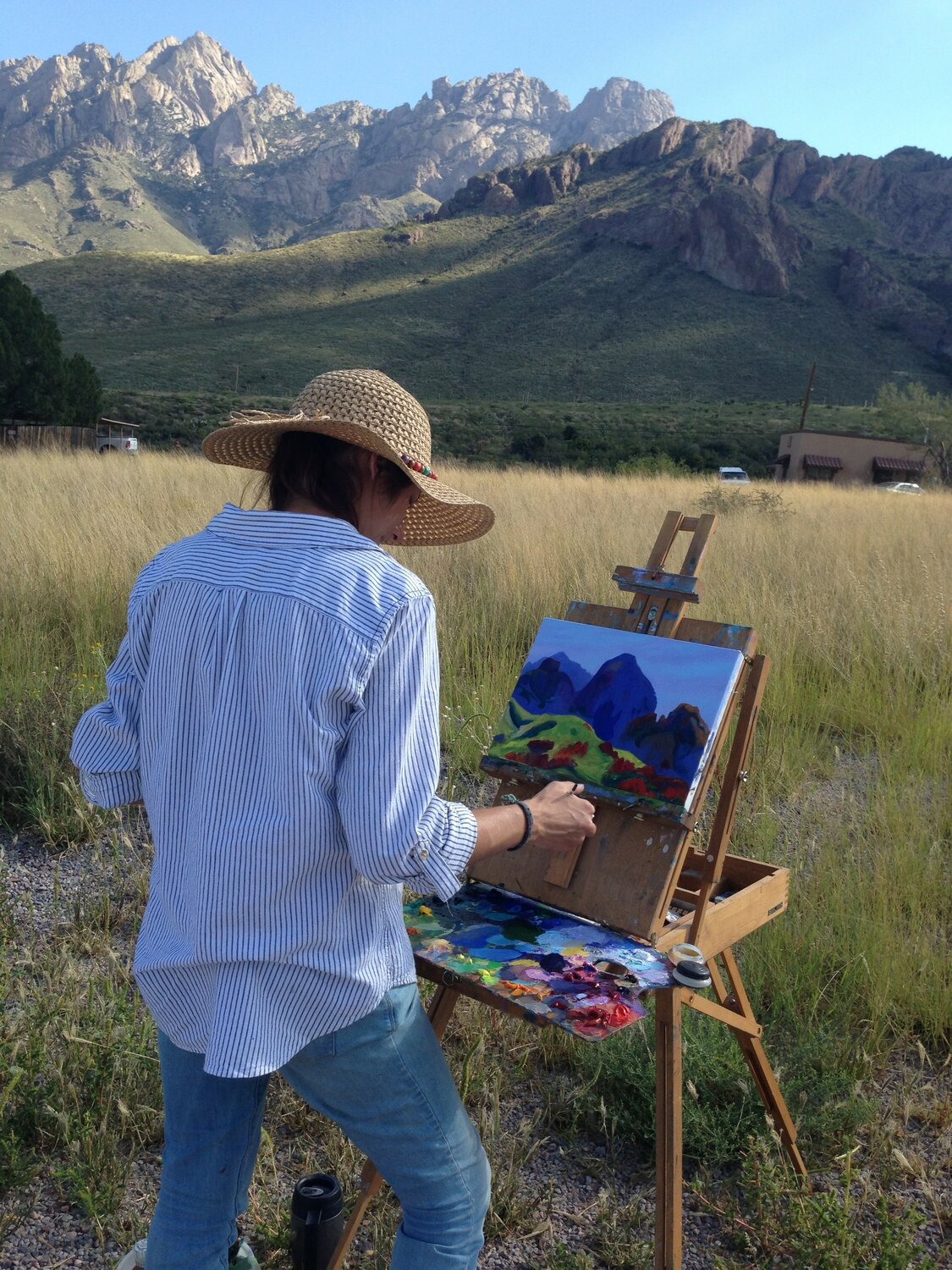 Organ Mountains-Desert Peaks artist sought | Las Cruces Bulletin