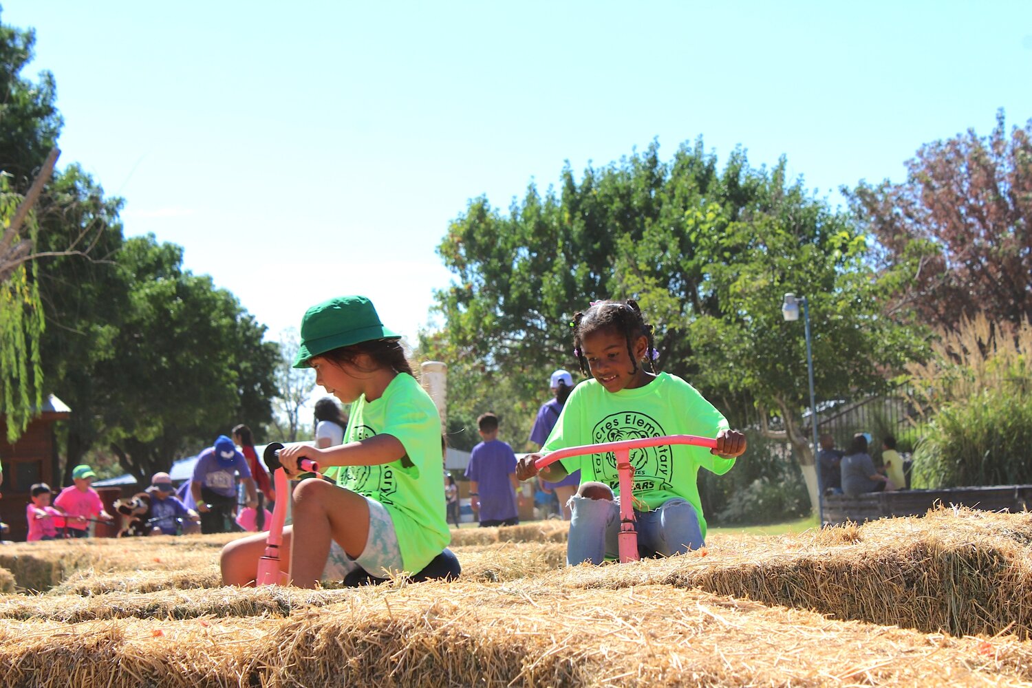 Mesilla Valley Maze holds family tradition | Las Cruces Bulletin
