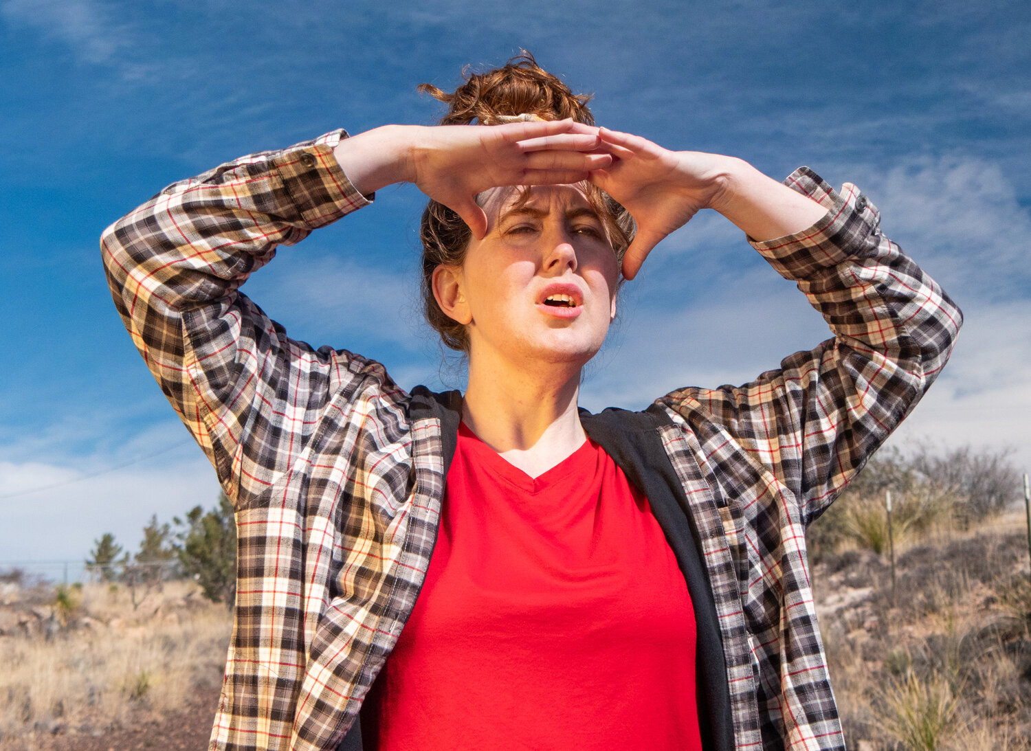 Local Playwright Explores Ambition, Belonging and a Missing Dog ...