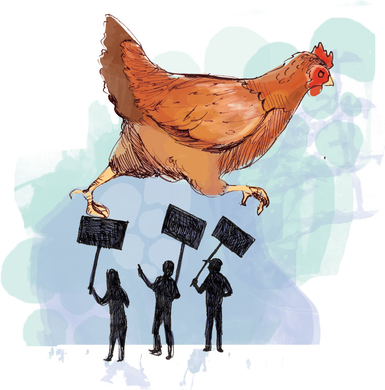 Cluck You | Hey Rhody Media Co.