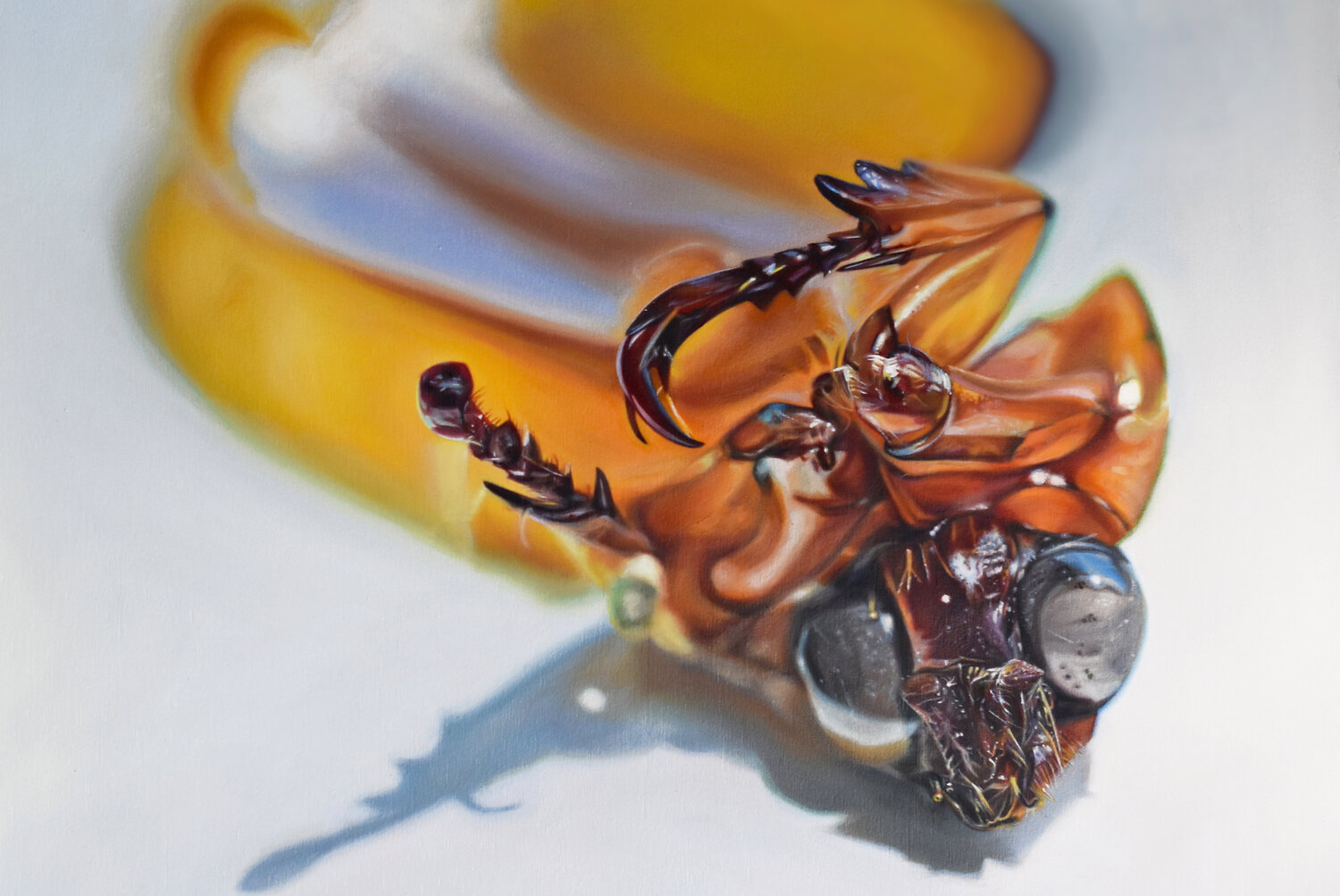Rhode Island Artist Chil Mott Captures “Sill” Life in Oils | Hey Rhody ...