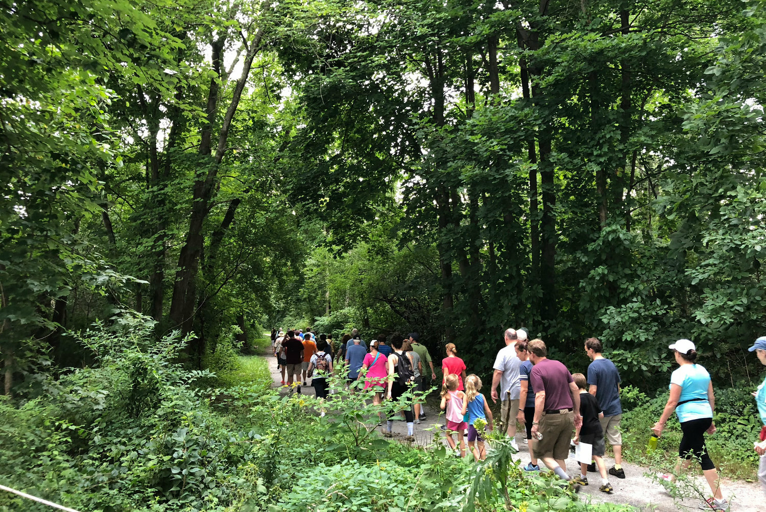 Camp, Hike, and Explore in Rhode Island's Lush Forests | Hey Rhody ...