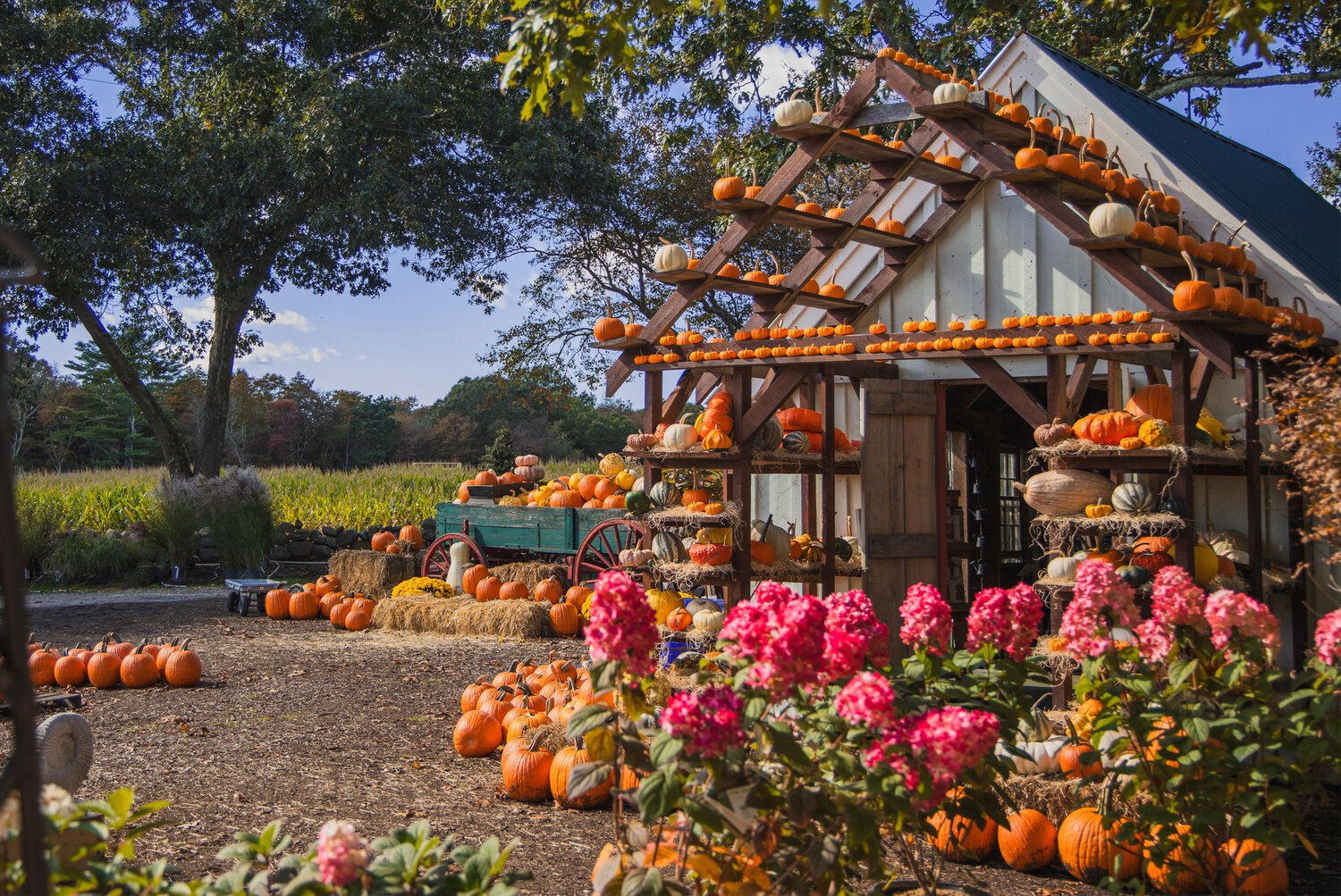Hey Rhody Fall Bushel List 2025 | Hey Rhody Media Co.