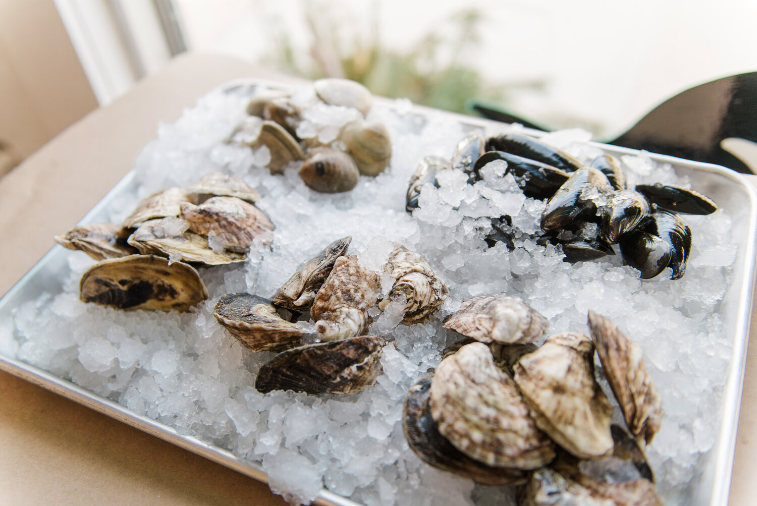 In the Kitchen: Stuart Meltzer of Fearless Fish in Providence | Hey ...