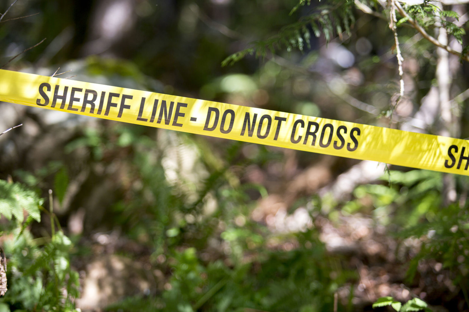 Brinnon fire not believed to be suspicious | Port Townsend Leader