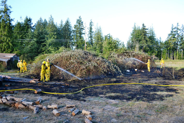 Termite termination causes brush fire | Port Townsend Leader
