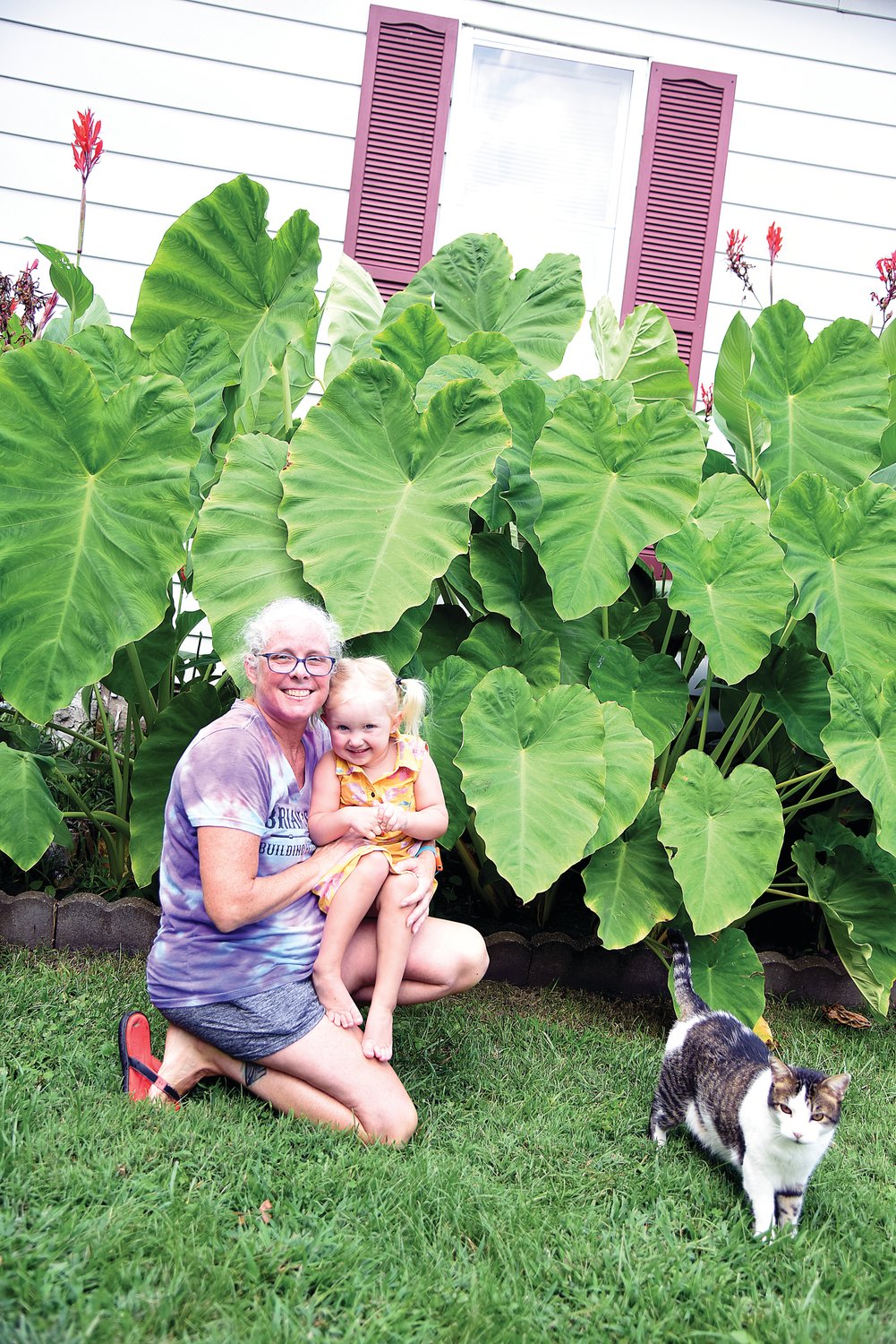 ‘The Jungle,’ filled with giant flowers | Star-Journal