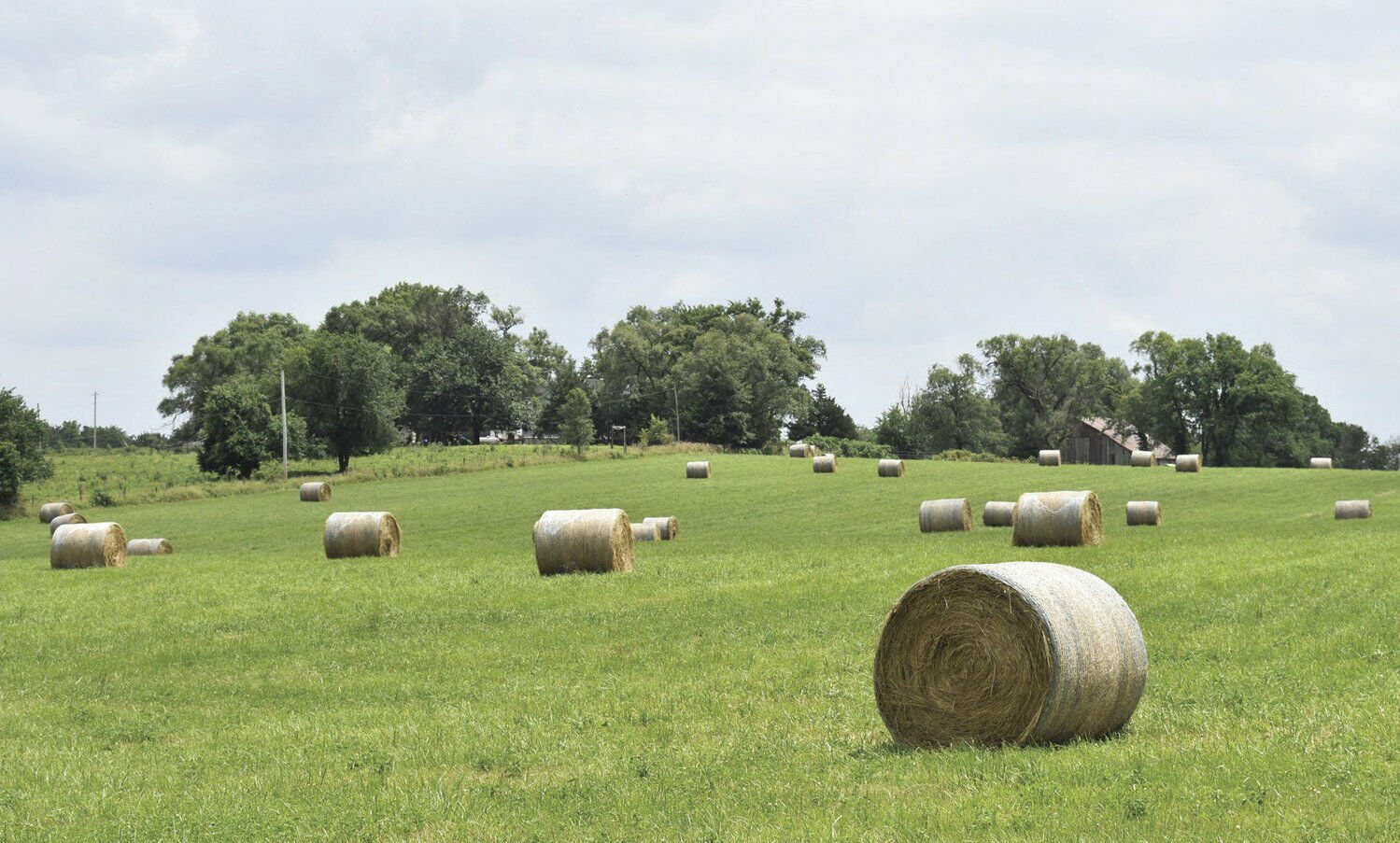 Emergency hay and water made available for farmers | Star-Journal